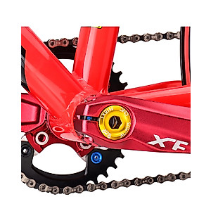 Yundxi 1 Piece Bike Crank Bolts Aluminum Alloy Bicycle Crankset Crank Fixing Bolt Chainwheel Screw Cap for Mountain Road Bike (M20*11mm)