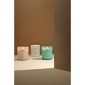 LEVITATE | Everyday Essentials 10oz Scented Candles (Milk & Honey)