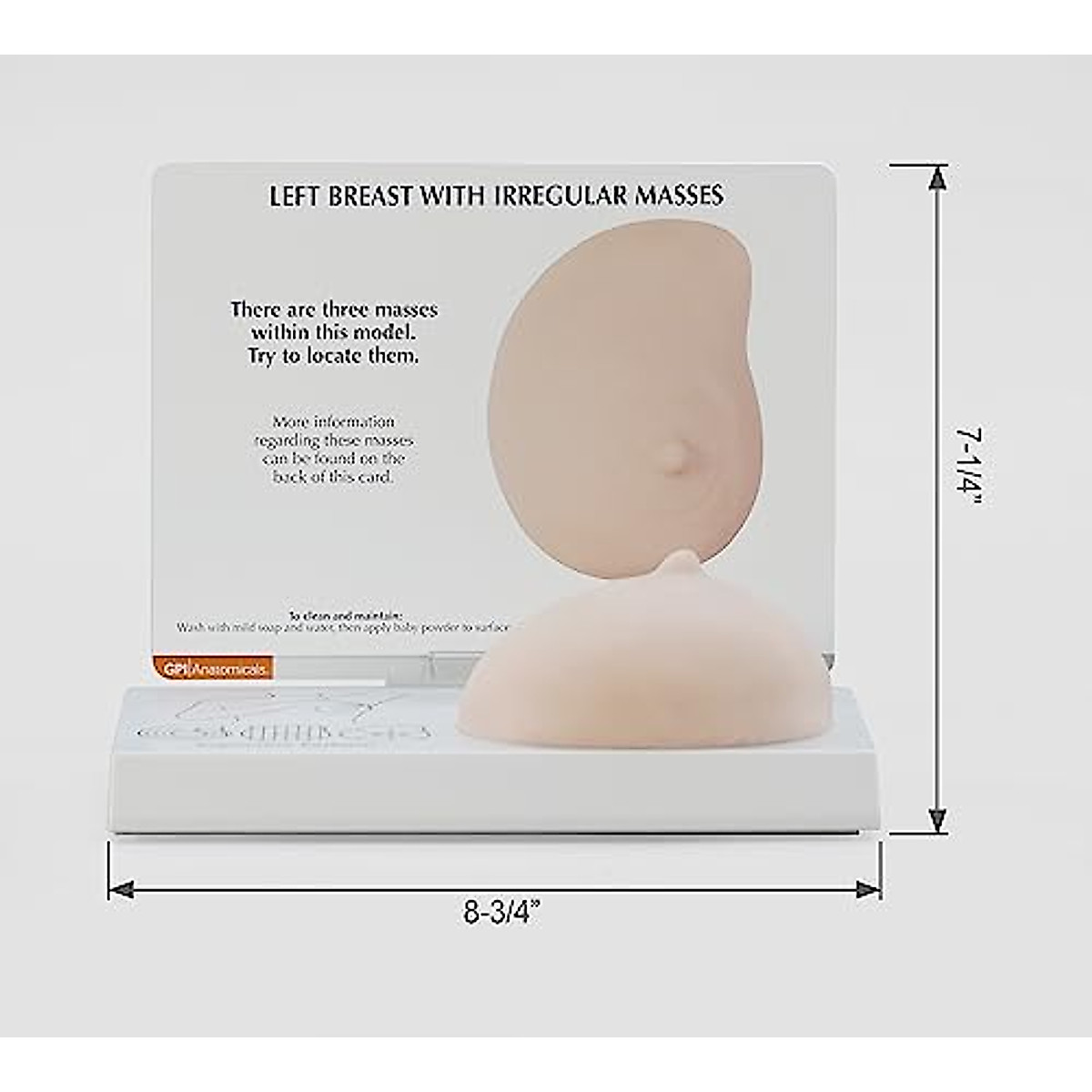 GPI Anatomicals - Human Anatomy Model of Left Breast with Irregular Masses, Replica for Anatomy and Physiology Education, Anatomy Model for Doctor's Office and Classrooms, Medical Study Supplies