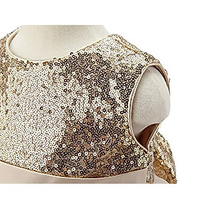 Bow Dream 2pcs Baby Girl Dresses Party Infant Birthday Gown for 0-24 Months Gold Sequin Champagne Tulle 3-6 Months