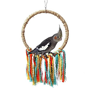 Barn Eleven Parrot Swing Perch Toy Sisal Ring Bird Gnawing Toy Cotton Rope Swing with Colorful Pendant Toys for Small Medium Birds Parakeets Lovebirds Finches Budgerigars Conure (Large)