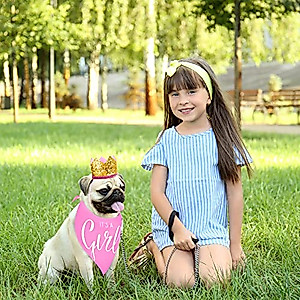 2 Pieces It's a Boy It's a Girl Dog Bandana Gender Reveal Baby Announcement Dog Bandana and 2 Pieces Pet Crown Dog Hat Photo Props for Dog Puppy Cat (Blue, Pink)
