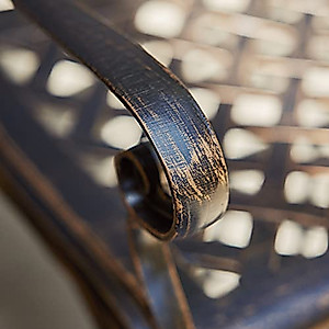 BELLEZE Patio Outdoor Garden Bench, 40 inch Cast Aluminum Loveseat Chairs with Armrests for Park, Yard, Porch, Lawn, Balcony, Backyard, Antique Seat Furniture, Bronze