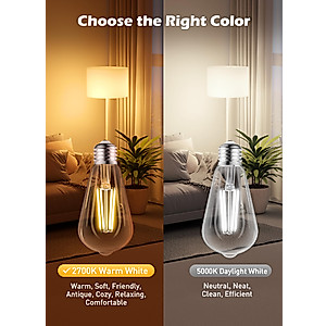 Brightown Vintage LED Edison Bulbs, 6W, Equivalent 60W, High Bright 2700K Warm White,750 Lumens, Non-Dimmable, E26 Medium Base ST58 Antique Filament Bulbs with 83+ CRI for Ceiling Fan Bathroom Porch