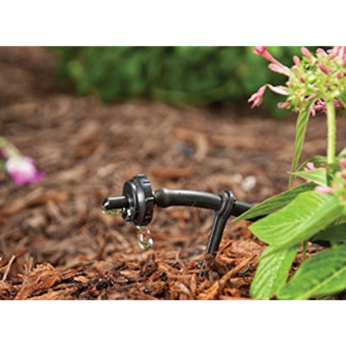 (100-PACK) 1GPH Single Outlet PC Button Drip Emitter with Barbed Inlet - for Use with Hydroponics/Irrigation Tubing - Insert Into Main line (1/2", 3/4", 1") or 1/4" Distribution Tube