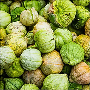 Seed Needs, Grande Rio Verde Tomatillo Seeds for Planting (Physalis ixocarpa) Single Package of 50 Seeds - Heirloom, Non-GMO & Untreated