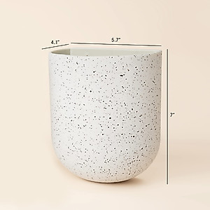 LA JOLIE MUSE Wall Hanging Planters for Indoor Plants，Hanging Flower Pots for Air Plants Succulent, Set of 2, 6 Inch, Speckled White