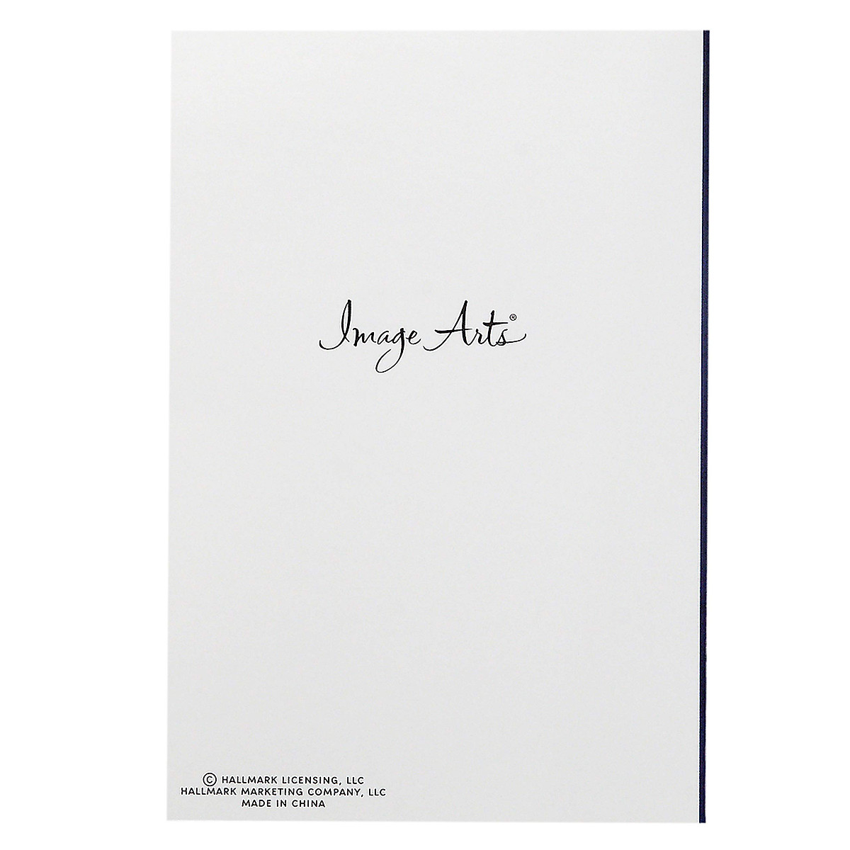 Hallmark Image Arts Religious Boxed Christmas Cards Assortment (4 Designs, 24 Christmas Cards with Envelopes)