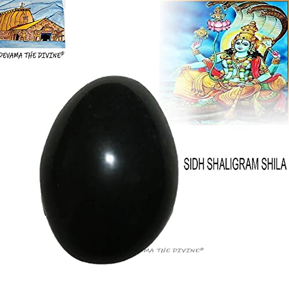 DEVAMA The Divine GANDAKI River Natural Black Stone Shaligram Shila for Pooja for Divine Blessings