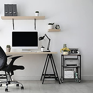 LIANTRAL 3 Tier Rolling Cart, Kitchen Carts on Wheels with Storage and Steel Frame, Multifunctional Utility Cart for Kitchen, Bathroom, Living Room, Bar, Office (16.5'' * 12.6'')