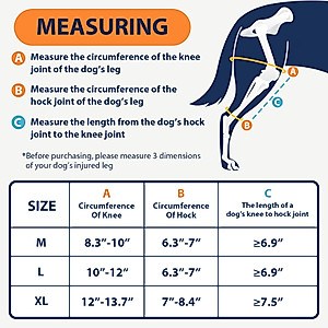 Huimpet Dog Knee Leg Brace, Dog ACL Brace for Back Hind Rear Leg, Dog Leg Support Brace for Torn ACL Tear, Luxating Patella, Hip Dysplasia and Dog Arthritis, Adjustable (Large)