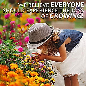 Package of 80,000 Wildflower Seeds - Rocky Mountain Wildflower Mix Seeds Collection - 18 Assorted Varieties of Non-GMO Heirloom Flower Seeds for Planting Including Larkspur, Poppy, Columbine, & Daisy