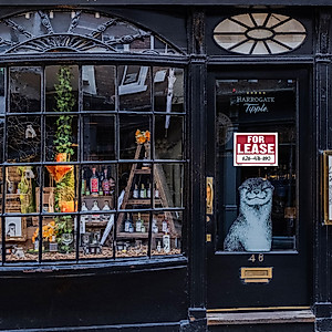 BAZIC For Lease Sign 12"x16", For Rent Rental House Home Apartment Car Auto Store Shops Business Waterproof Indoor Signage, 1-Pack