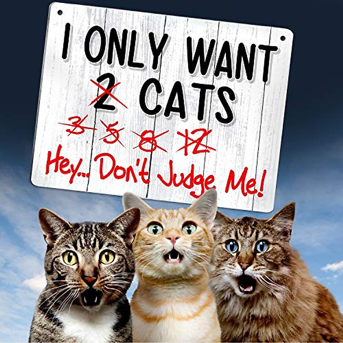 Bigtime Signs Cat Sign - I Only Want Cats - Cat Decor Funny Gag Gifts for Window, Office, Bedroom Decor - Funny Cat Gifts for Indoor or Outdoor use - Best Cat Gifts For Cat Lovers and Cat Decorations