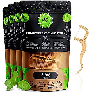 Biodegradable Dental Floss Picks - Natural Plastic Free Handle | Thin Thread Tooth Flossers for Adults & Kids | Toothpick Stick Soft on Gum & Teeth | Eco Friendly Zero Waste Vegan Organic (200, Mint)