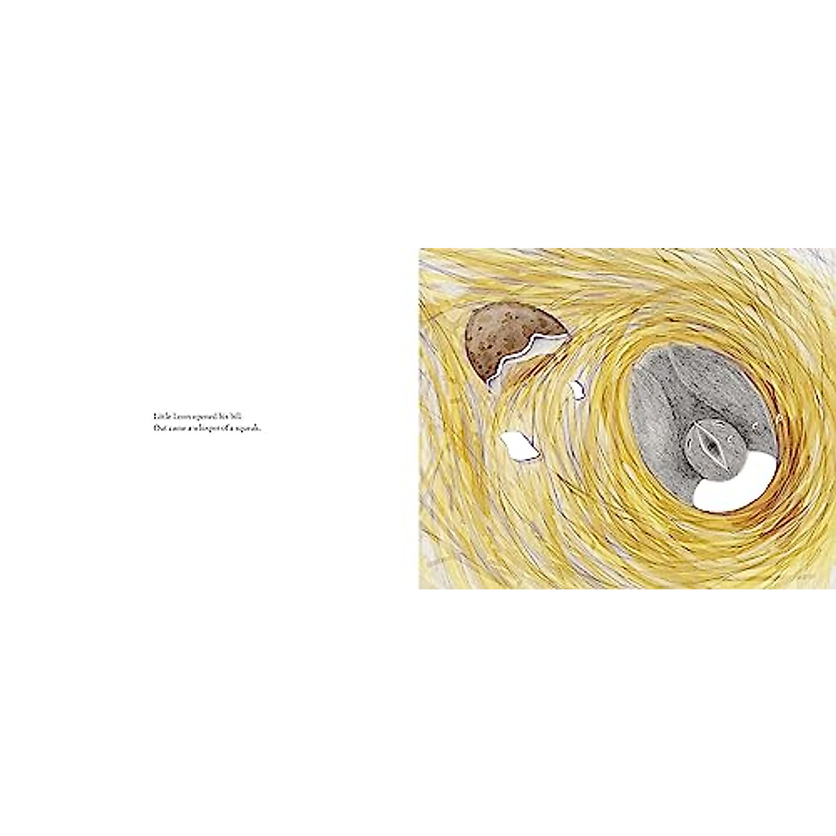 Little Loon Finds His Voice