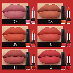 YOUNG VISION Classic Colors Lipstick, Lip Stick Bundles Gift Box Set, Matte Nude Finish, Retractable, 6 Packs