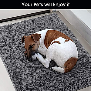 HOMEIDEAS Durable Chenille Water Absorbent Door Mat Indoor, 24x36, Machine Washable Drying Entryway Rug, Soft Dog Mat Rug, for Shoes and Pet Paws, Non-Slip Inside Doormat for Entrance, Mud Room, Grey