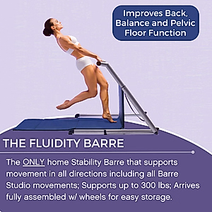 The Original Fluidity Barre System with 30-day free Fluidity Barre Online Classes