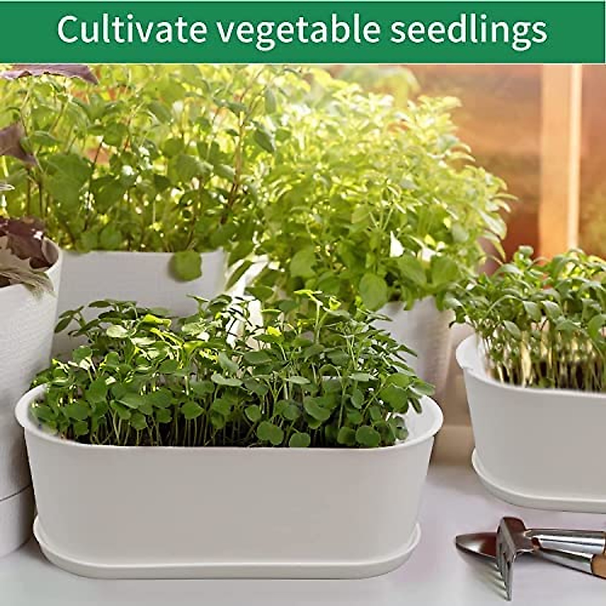 Plant Window Box with Saucers 10 Sets Plastic Planters with Multiple Drainage Holes and Trays Flower Pots for Home Garden Succulents Modern Decorative Window Planter Box Gardening Pot Plant Container