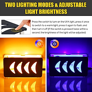 2 Pack Flea Traps for Inside Your Home, Flea Trap with Adjustable Light Modes & 4 Flying Insect Trap Sticky Refill Discs, Pest Trapper for Fleas, Flies, Mosquitoes