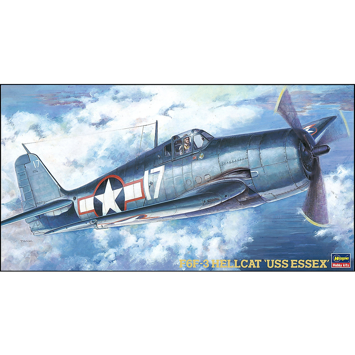 Hasegawa 1:48 Scale Grumman F6F-3 Hellcat Model Kit