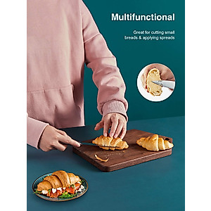 ZAWS Steak Knives, Knives Set of 8, Stainless Steel Knife Gift Box Set,Super Sharp Kitchen Serrated Knife, Ergonomic Tapered Handle, 9.1 IN, Silver