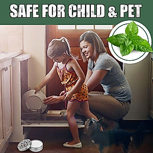 Two Bros. Repellent Mosquito Repellent for Patio, Mosquito Repellent Indoor and Outdoor, Powerful Mosquito Deterrent, Mosquito Repellents for Yard&Backyard, Mosquito Control -2P, Black