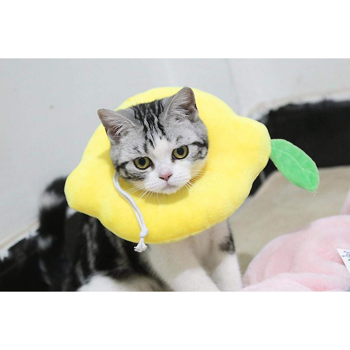 Vehomy Pet Cat Recovery Collar Cat Soft Lemon Neck Cone Adjustable Pet E Collar After Surgery, Wound Healing Protective Cat Elizabethan Collar for Kitten & Puppy