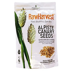 Raw Garden Canary Seed (Alpiste) (1 Pack 4 lbs) for Human Consumption, Silica Fiber Free.