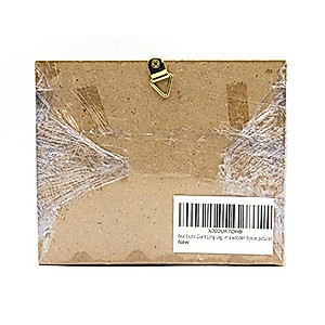 Real Exotic Giant Long Leg Weevil Snout Beetle (Cyrtotracheulus Dux) Male- Taxidermy Insect Bug Collection Framed in a Wooden Box as Pictured (Spread Wings)