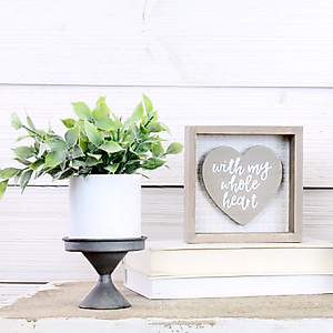 Cornucopia Metal Paint Cans with Lids (1/2 Pint Size, 6-Pack), 1-Cup Capacity Empty Unlined Half Pint Paint Pails