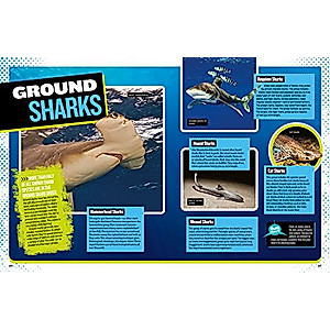 The Ultimate Book of Sharks (National Geographic Kids)