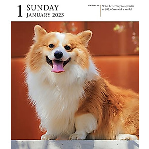 Dog Page-A-Day Gallery Calendar 2023: An Elegant Canine Celebration
