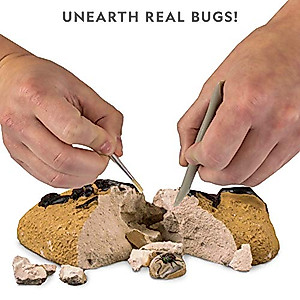 NATIONAL GEOGRAPHIC Real Bug Dig Kit - Dig up 3 Real Insects including Spider, Fortune Beetle and Scorpion - Great STEM Science gift