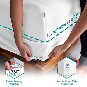 Feather & Stitch Softest 100% Cotton Sheets, 4 Pc Set, 300 Thread Count Percale Weave Bedding, 16" Deep Pocket, Cooling Sheets, Breathable Bed Set (Full, Sheet Sets, Floral)