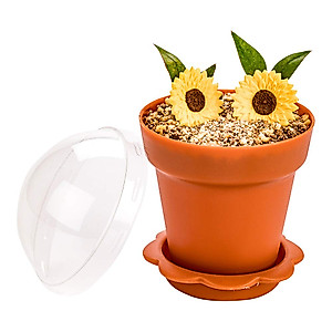 Restaurantware 6 Ounce Cupcake Flower Pots 100 Disposable Dessert Flower Pots - Lids Included With Removable Saucer Base Brown Plastic Cupcake Pot Holders For Cake Puddings And Desserts