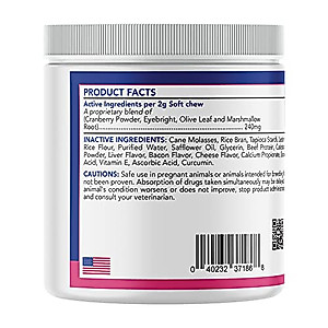 Angels’ Eyes PLUS Tear Stain Prevention Soft Chews for Dogs | 120 ct Beef Flavor| For All Breeds | No Wheat No Corn | Daily Supplement | Proprietary Formula