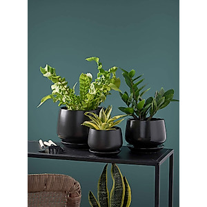 LE TAUCI Plant Pots, 4.1+5.1+6.5 inch, Set of 3, Ceramic Planters with Drainage Hole and Saucer, Indoor Flower Pot with Hole Mesh Pad, Gifts for Mom, Black