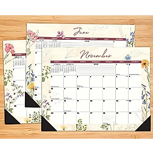 Willow Creek Press Botanical Garden Monthly 2024 Deskpad Calendar (22" x 17")