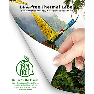 Phomemo US Letter Thermal Paper, Advanced Thermal Printing, Phomemo Thermal Paper for M08F-Letter, Brother PocketJet PJ762/PJ763MFi, HPRT MT800/MT800Q Printer, Size 8.5" x 11", 100 Sheets