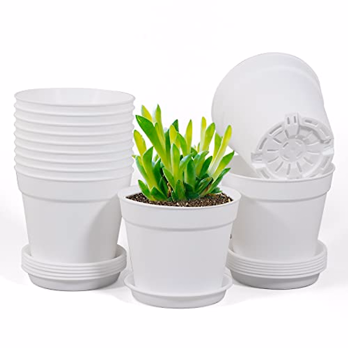 Olisx 12 Pack 4 inch Plastic Planters, Seedlings Plant Nursery Pots with Drainage Holes and Saucers for Plants Flowers Succulent and All House Plants, White