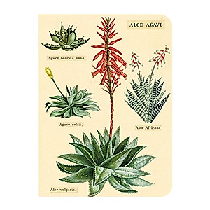Cavallini Papers & Co., Inc. Succulents Mini Notebooks 4 x 5.5