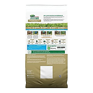Scotts Turf Builder Grass Seed Southern Gold Mix for Tall Fescue Lawns in The South with Root-Building Nutrition, 32 lb.