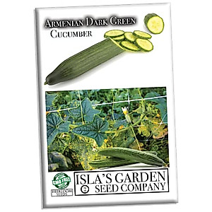 "Armenian Dark Green" Cucumber Seeds for Planting, 100+ Heirloom Seeds Per Packet, (Isla's Garden Seeds), Non GMO Seeds, Botanical Name: Cucumis sativus, Great Home Garden Gift