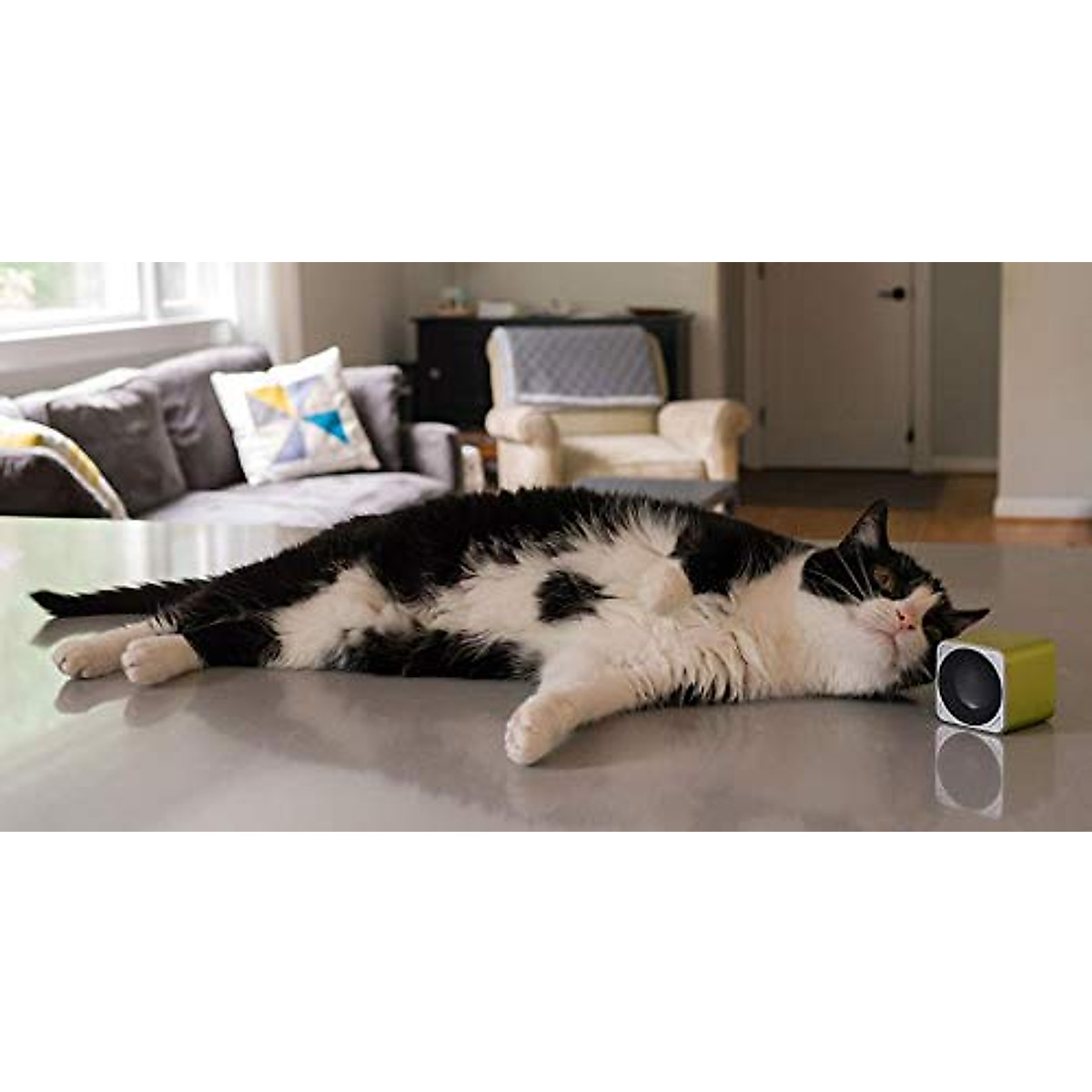 Pet Acoustics Feline Extra Calm Music SD Card