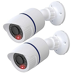 WALI Dummy Fake Camera, Surveillance Security CCTV Dome Camera, Indoor Outdoor Camera, with One LED Light, Security Alert Sticker Decals (TC-W2), 2 Pack, White