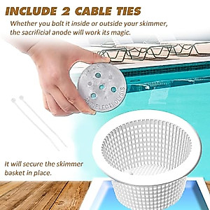 TonGass Zinc Anode Weight - Anti-Electrolysis Sacrificial Anode - Galvanic Anode for Passive Cathodic Protection - Bolts Inside or Outside Skimmer Baskets - Salt System Swimming Pool Must-Have