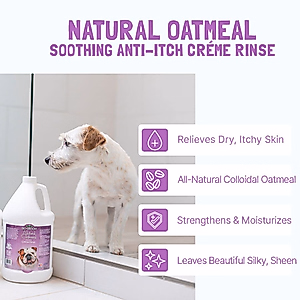 Bio-Groom Oatmeal Dog Conditioner – for Allergies and Itching, Cruelty-Free, Dog Bathing Supplies, Puppy Conditioner for Sensitive Skin, Made in USA, Anti-Itch Dog Products – 1 Gallon