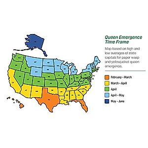 RESCUE! Yellowjacket Attractant – for RESCUE! Reusable Yellowjacket Traps – 4 Week Supply - 20 Pack